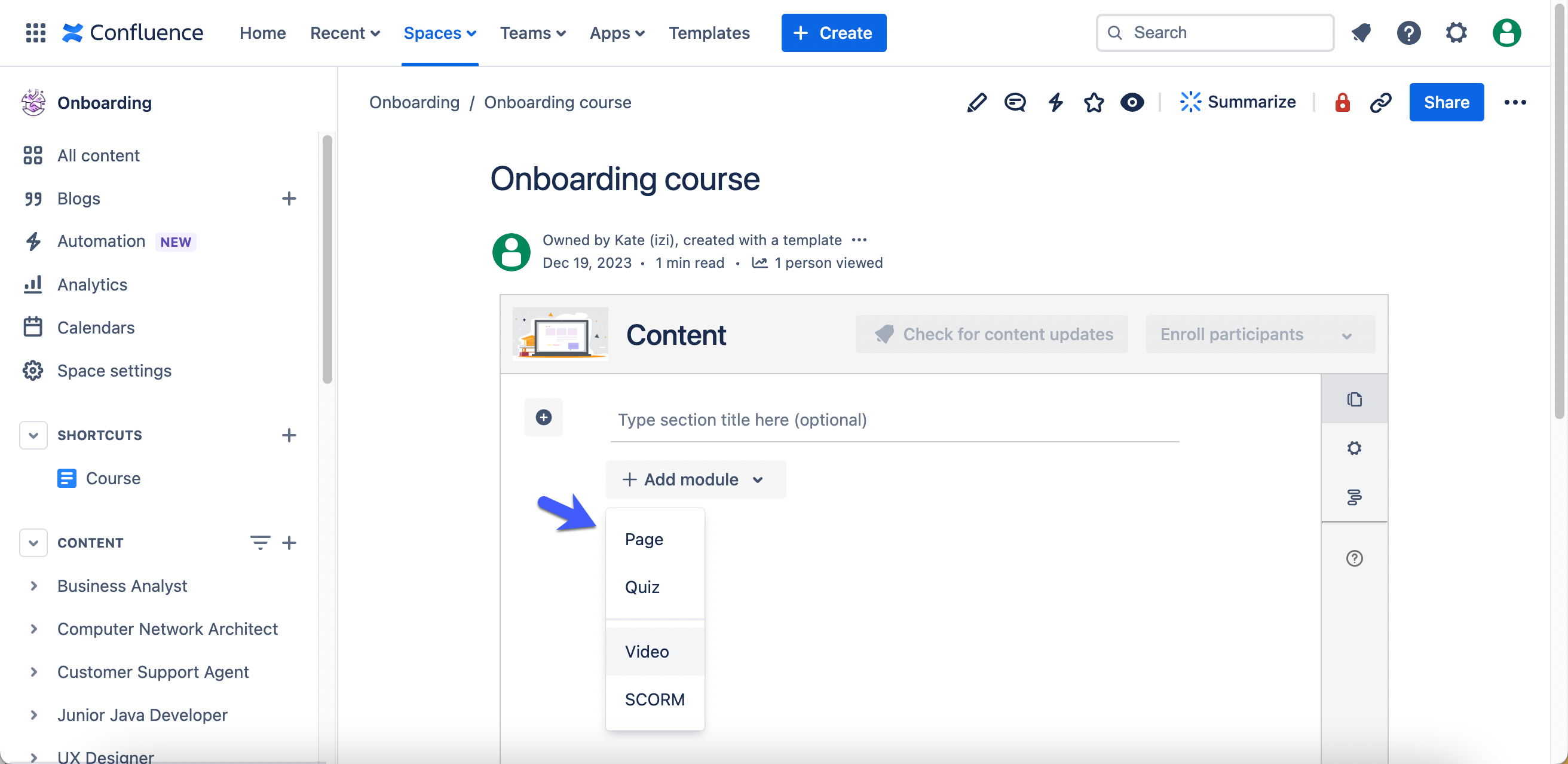 Page (Confluence page)